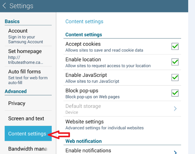 Enable Geo Location In Browser 0334